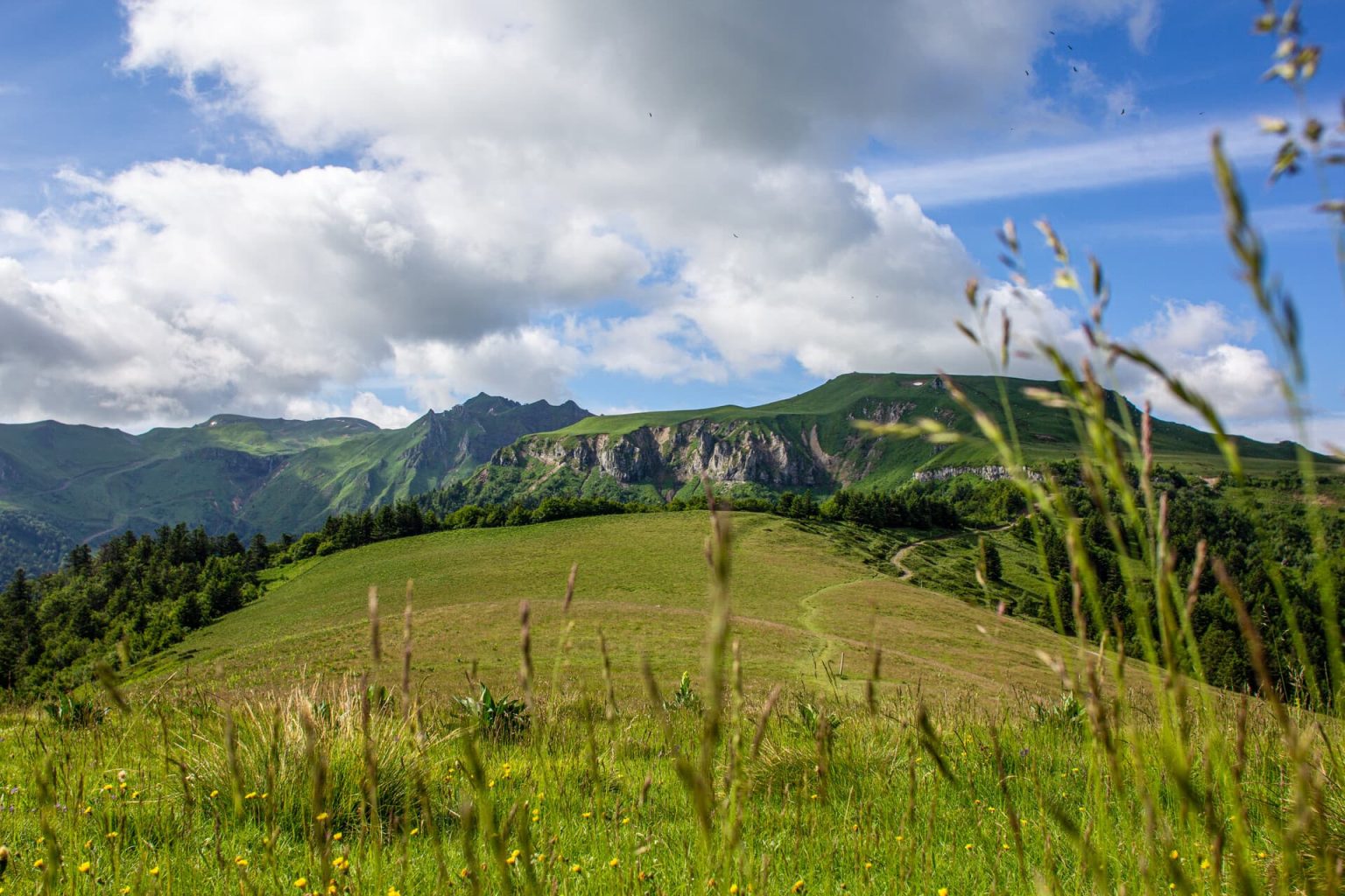 L'Office de Tourisme du Sancy - Espace pro du Massif du Sancy
